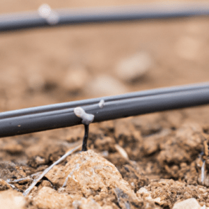 The Basics of Drip Irrigation Systems - Roots Talk